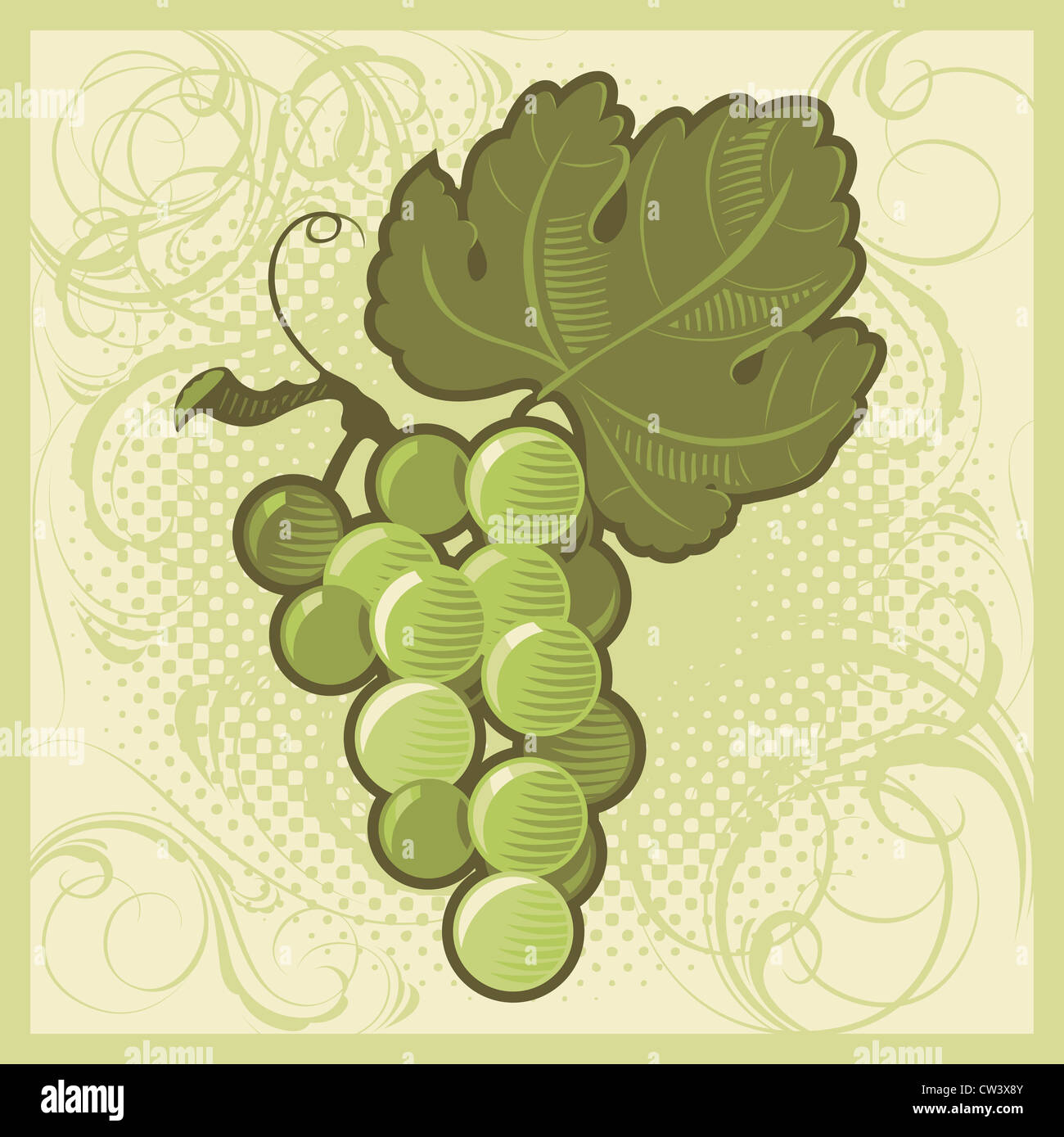 Retro-styled green grape bunch Stock Photo - Alamy