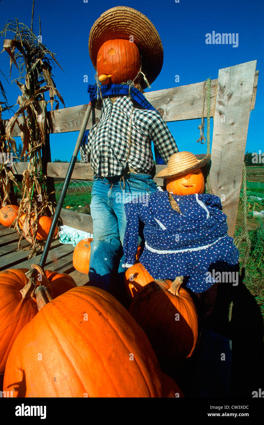 Pumpkin People, Scenic Route 100, Autumn in Vermont Stock Photo - Alamy