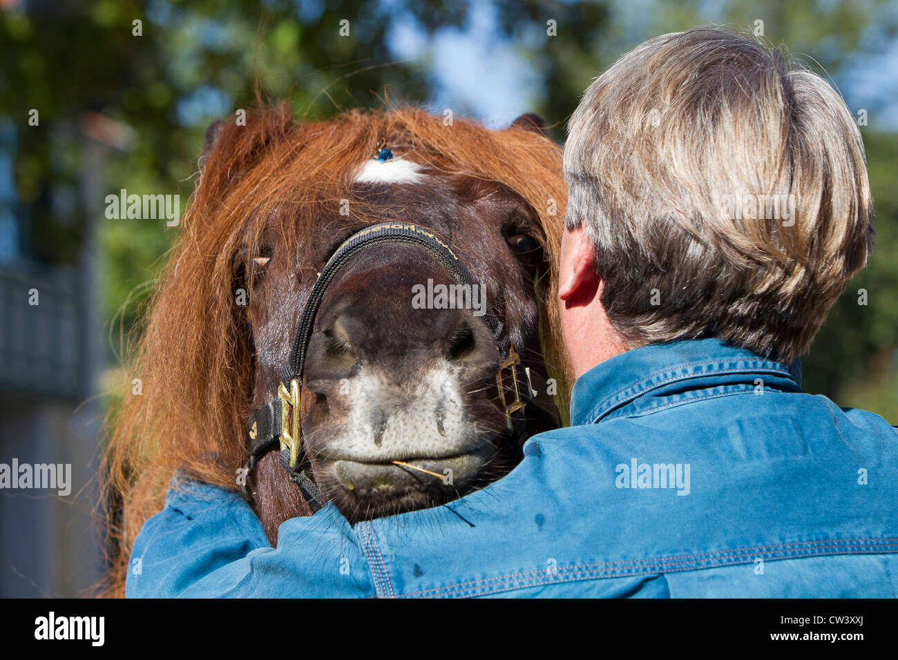 Horse Hugging Girl Statues