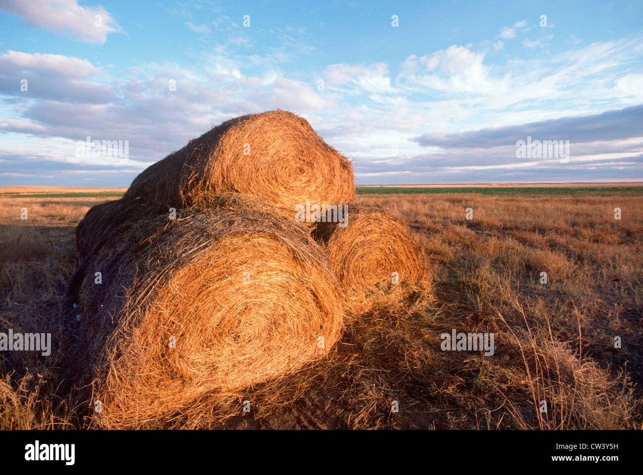 Haystacks in Midwestern field Stock Photo - Alamy