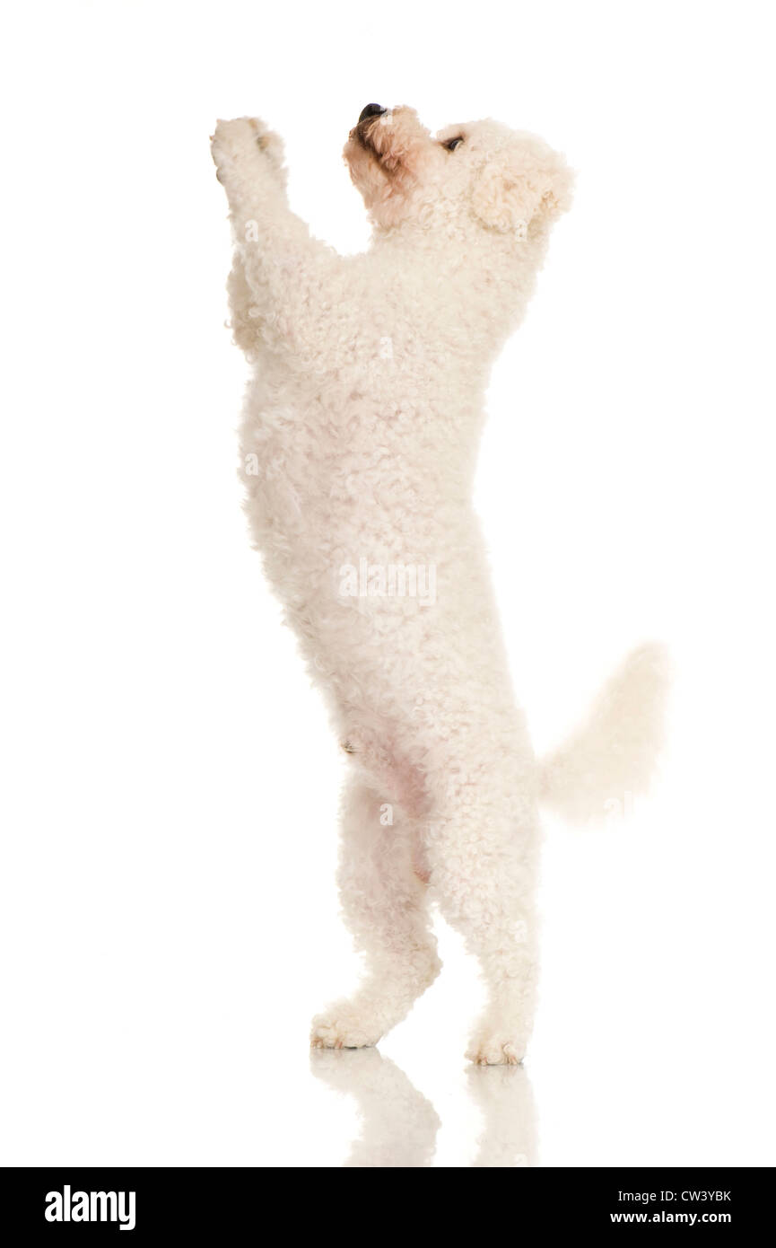Side upright hi-res stock photography and images - Alamy