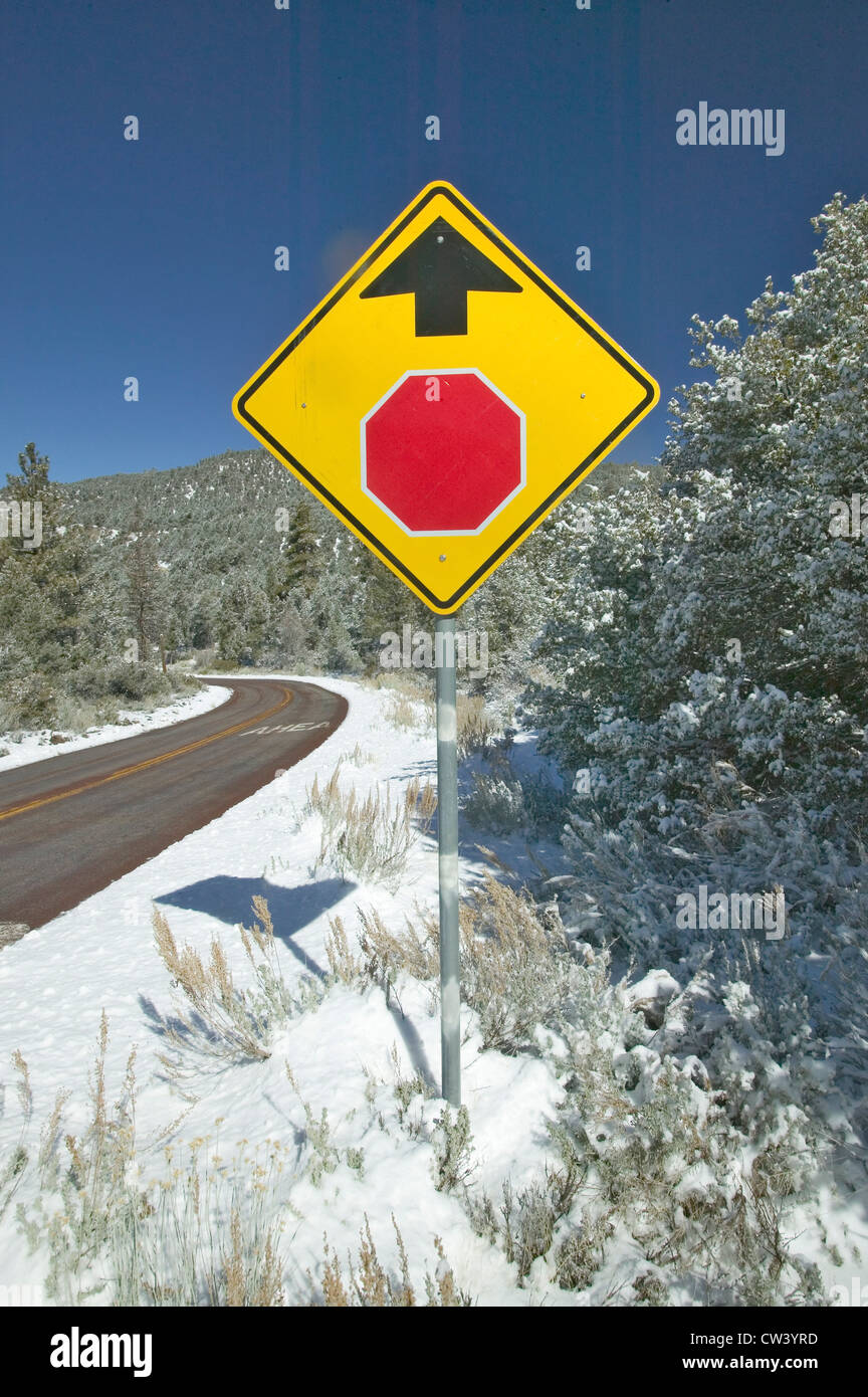 Stop Sign Ahead Sign