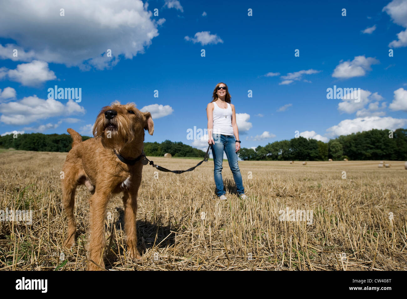 Walking on a lead hi-res stock photography and images - Alamy