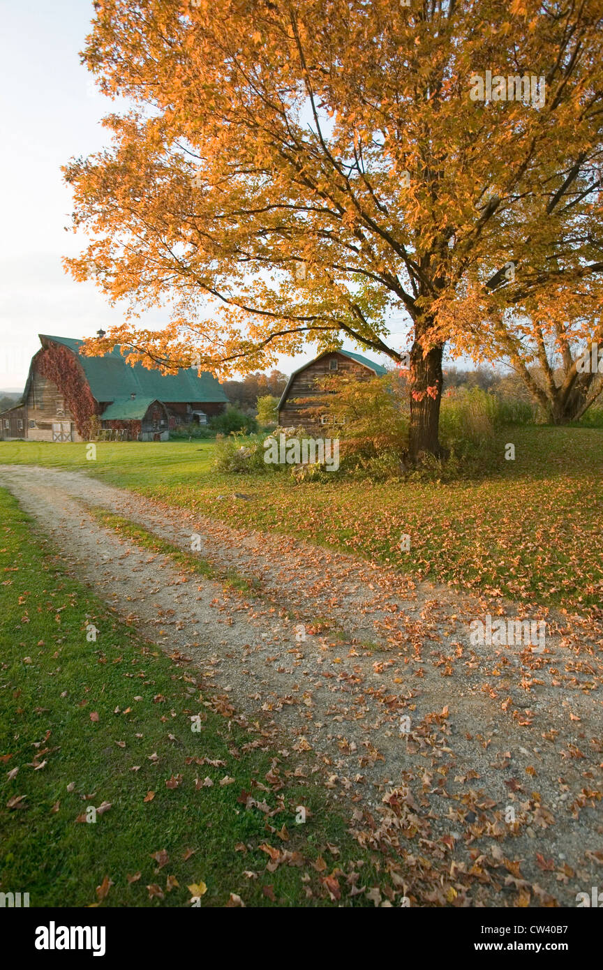 Connecticut litchfield hills hi-res stock photography and images - Alamy
