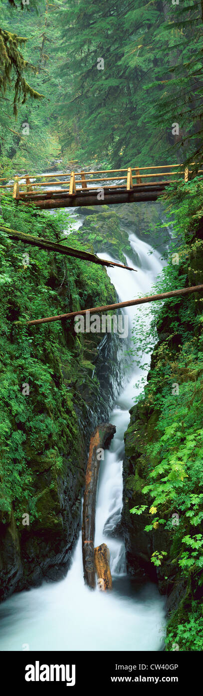 This is the Sol Duc Waterfall in the rain forest of Olympic National ...