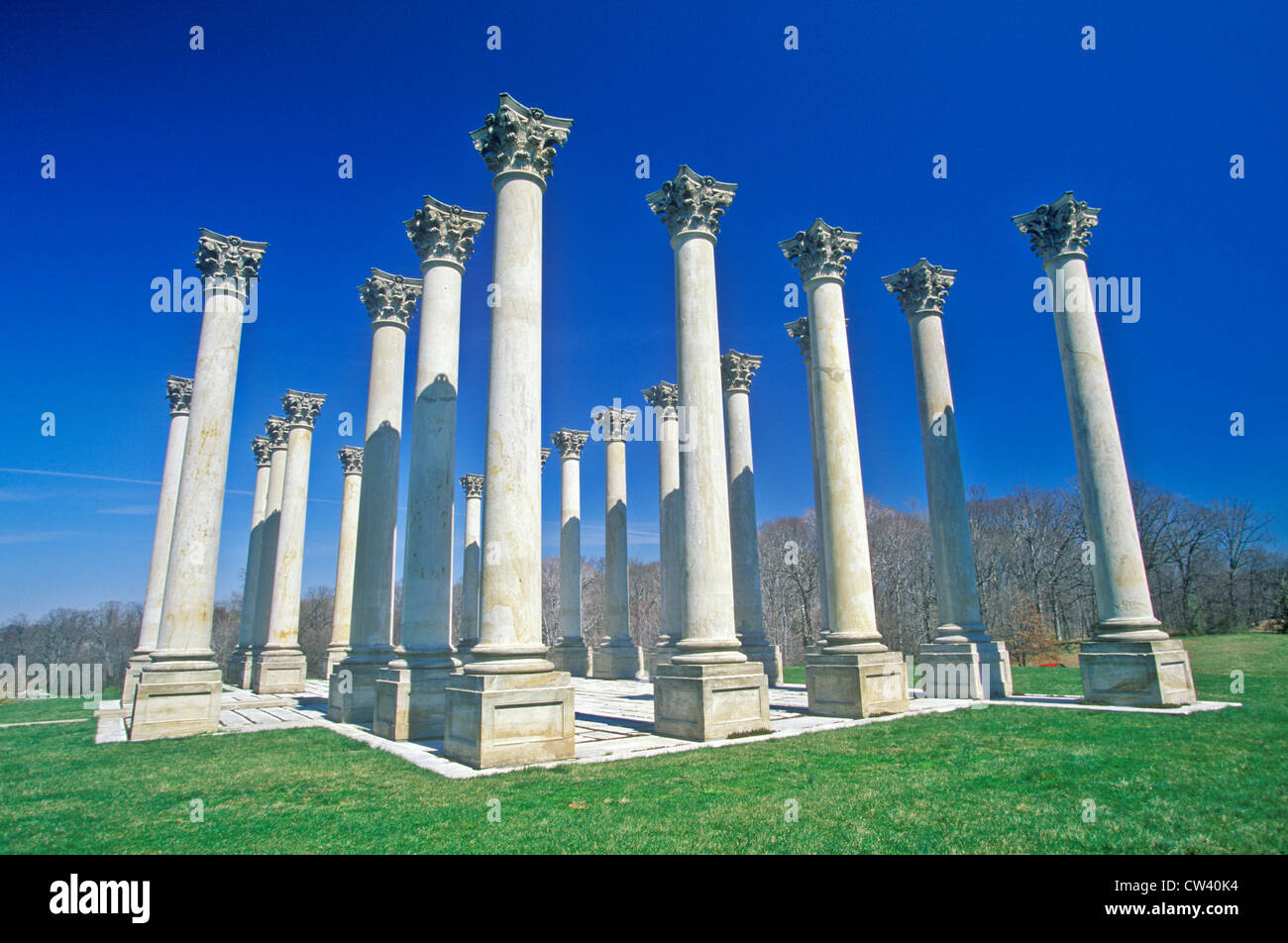 U s national arboretum hi-res stock photography and images - Alamy