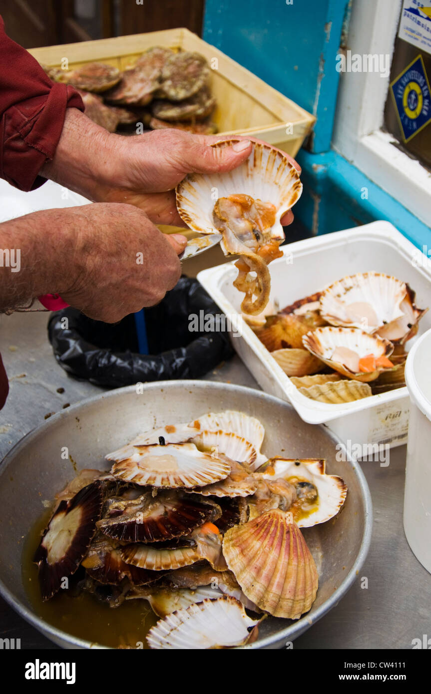 Preparing scallops at a Paris restaurant Stock Photo - Alamy