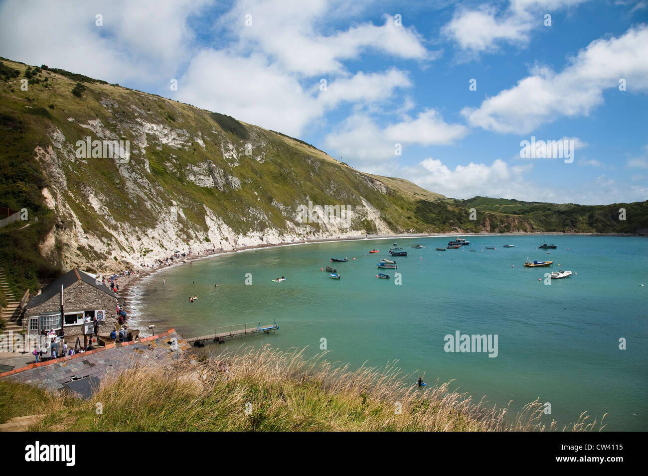 The pretty bay at Lulworth Cove Dorset Stock Photo - Alamy