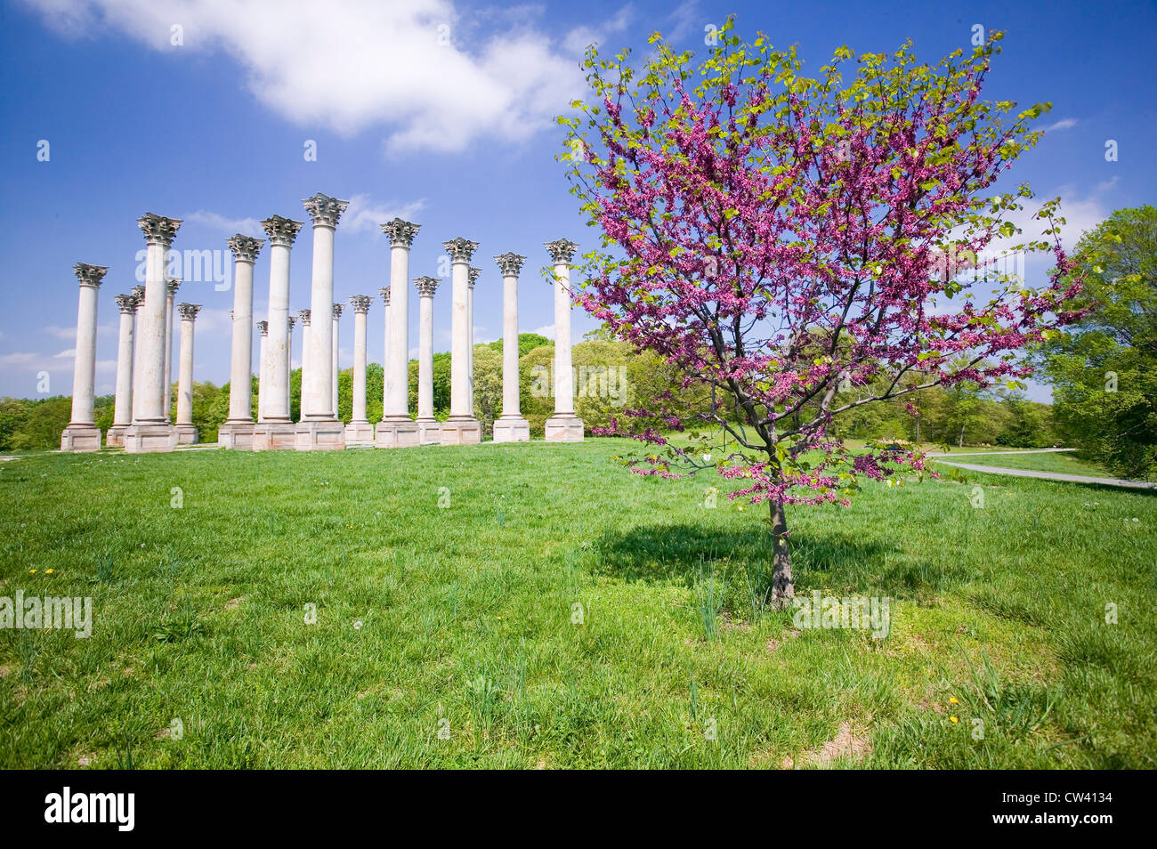 National Capitol Columns, Corinthian columns, in springtime at the ...