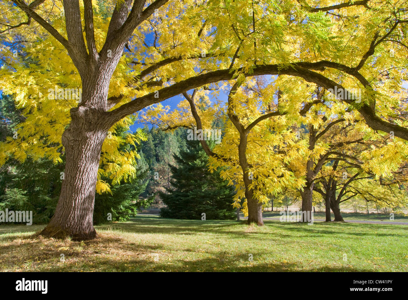 Joseph oregon hi-res stock photography and images - Alamy