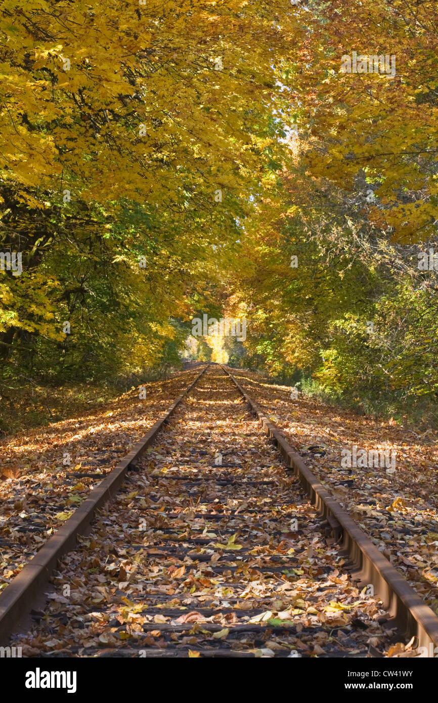Railroad track hi-res stock photography and images - Alamy