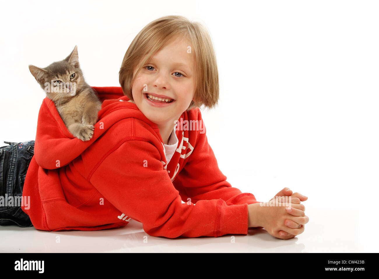 Domestic Cat. Kitten sitting on the back of a lying boy. Studio picture ...