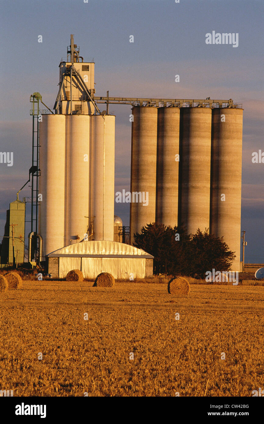 Bale elevator hi-res stock photography and images - Alamy