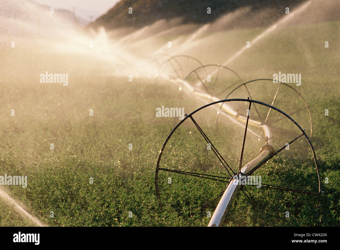Crops spray usa hi-res stock photography and images - Alamy