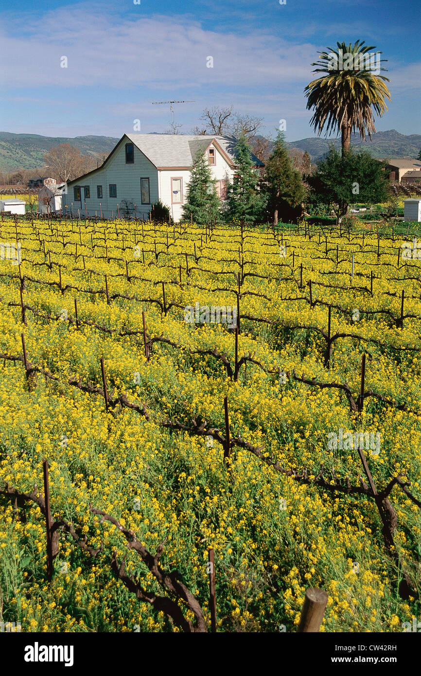 Farmhouse with green fields in front Stock Photo - Alamy