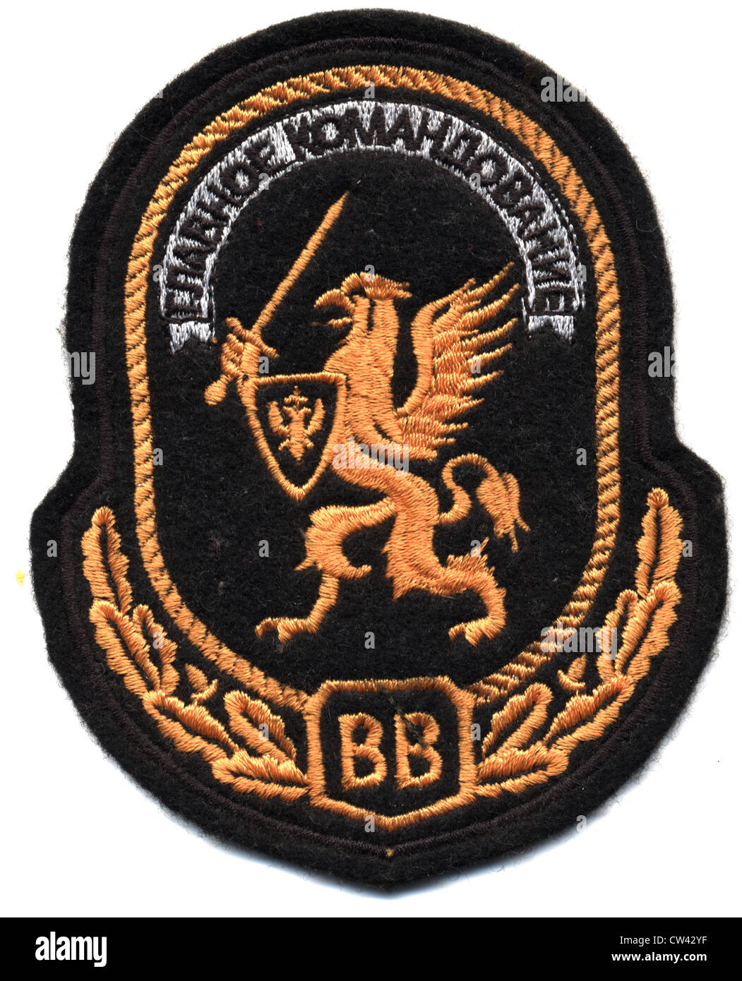 Arm patch of Russian Army. Internal military force. Central Command ...