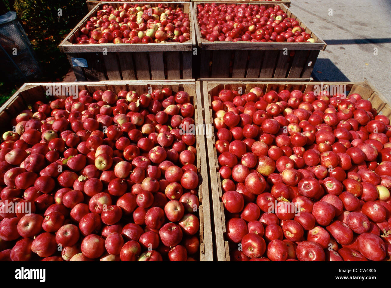Crates of red apples Stock Photo - Alamy
