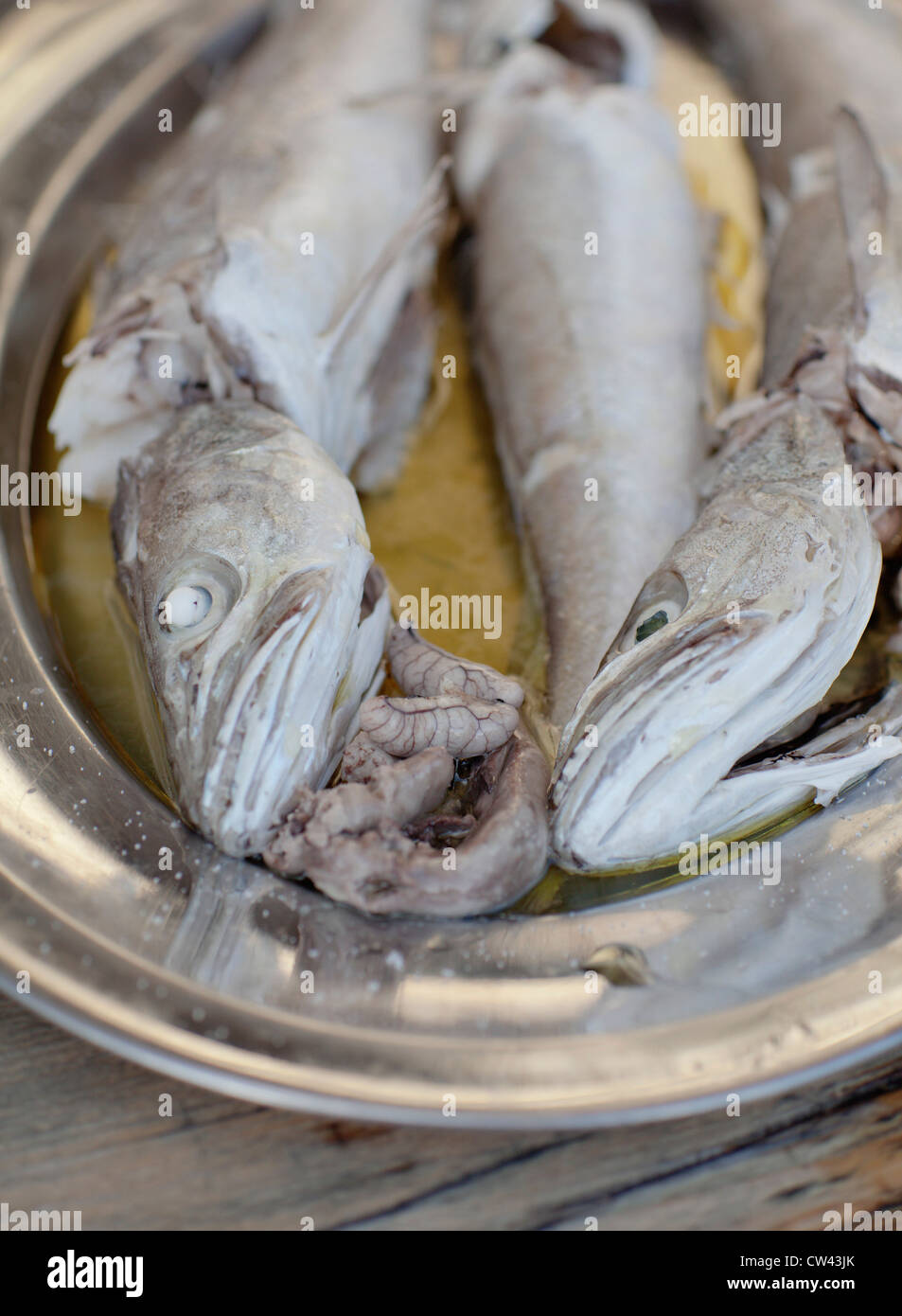 Cooked European hake. Dalmatia, Croatia Stock Photo - Alamy