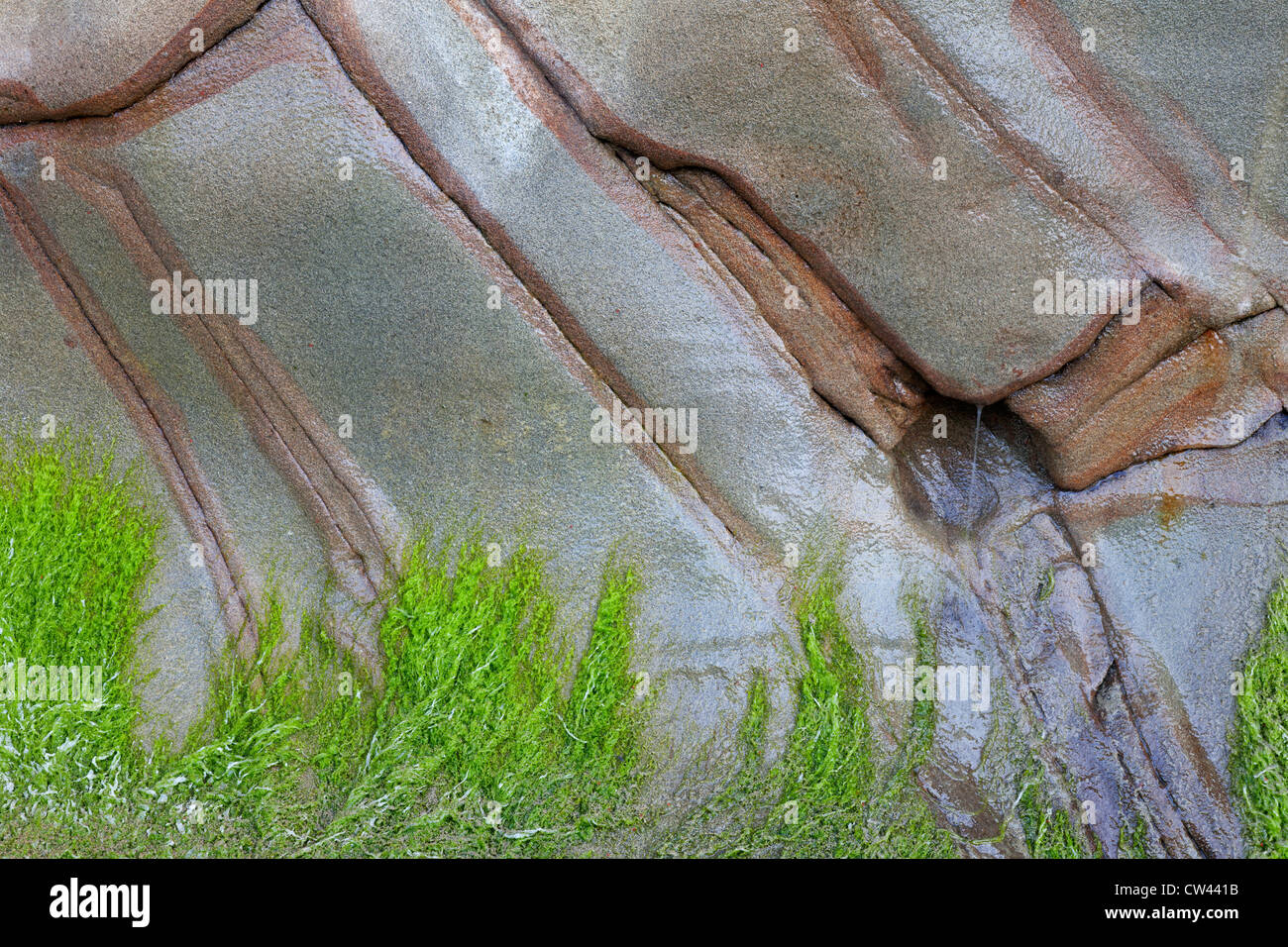 USA, Washington State, San Juan Islands, Patos Island, Abstract rock ...