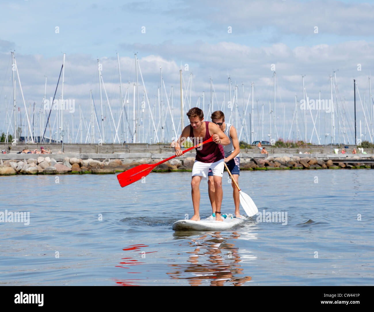 Two teenagers having fun stand up paddling on a windsurf board on a ...