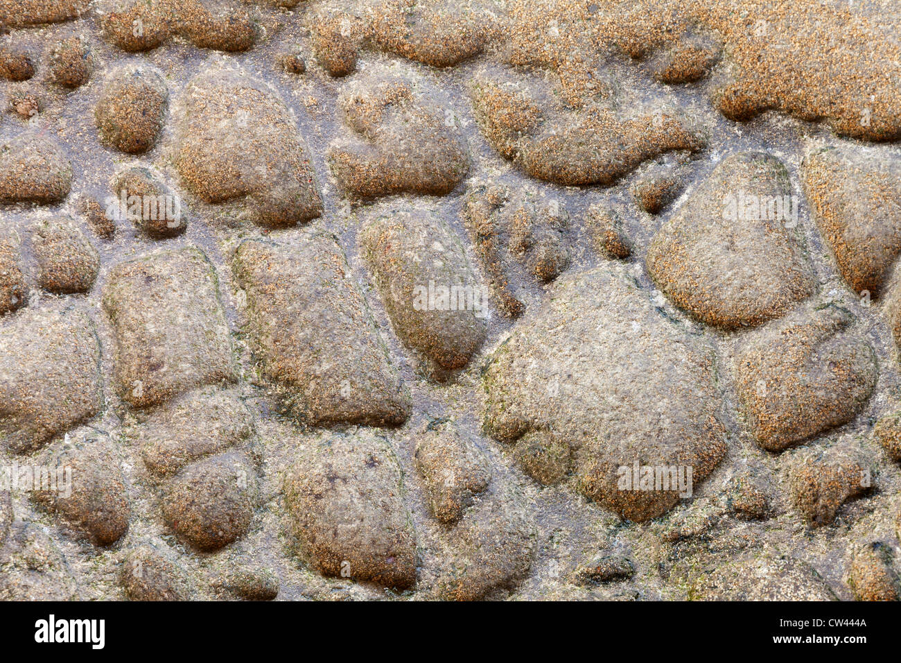 USA, Washington State, San Juan Islands, Patos Island, Abstract rock ...