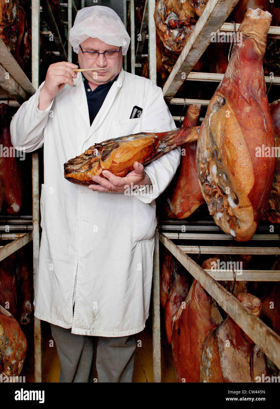 Man checking air-dried ham (prsut ham) at factory. Dalmatia, Croatia ...