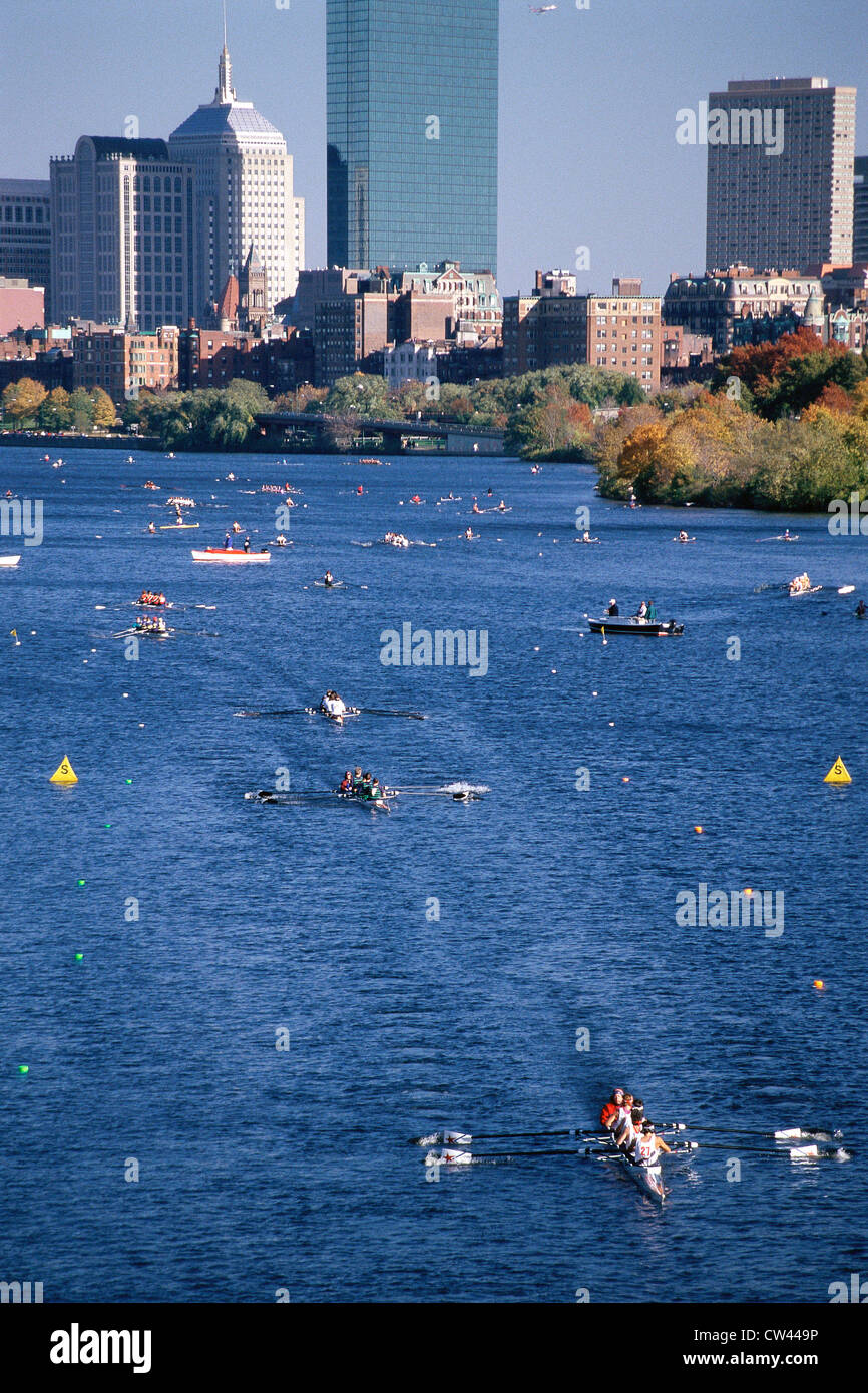 Charles River with rowing teams, Boston beyond Stock Photo - Alamy