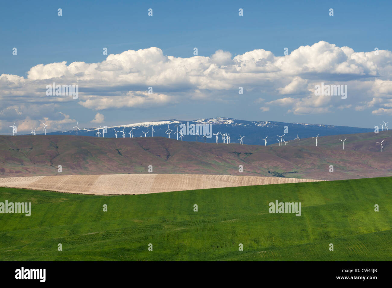 Wind energy turbines on fields hi-res stock photography and images - Alamy