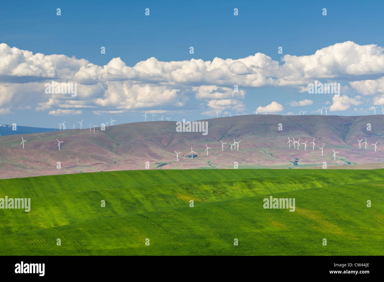 USA, Oregon, Wasco, Farm fields with wind turbines Stock Photo - Alamy