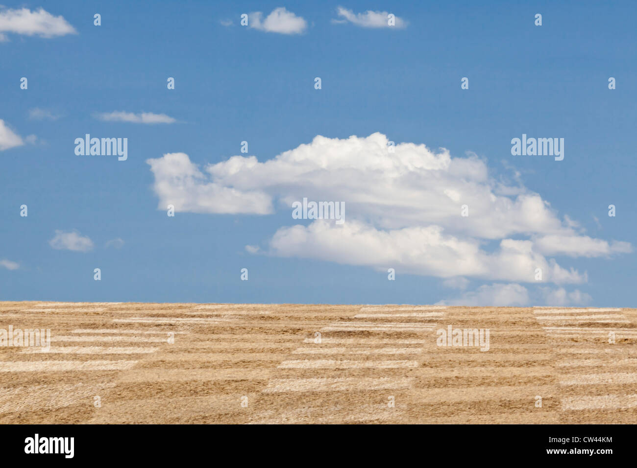 USA, Oregon, Wasco, Scenic fields Stock Photo - Alamy