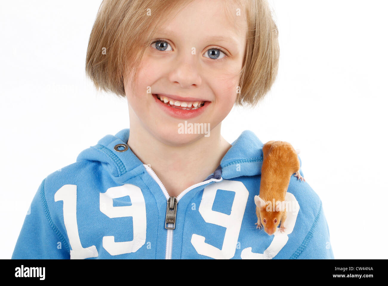 Mouse on shoulder hi-res stock photography and images - Alamy