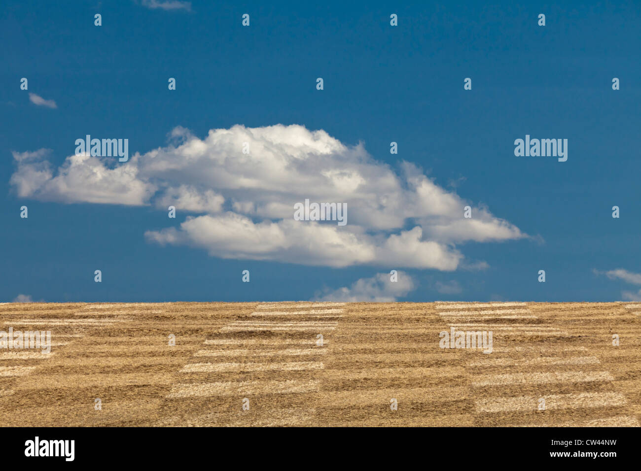 USA, Oregon, Wasco, Scenic fields Stock Photo - Alamy