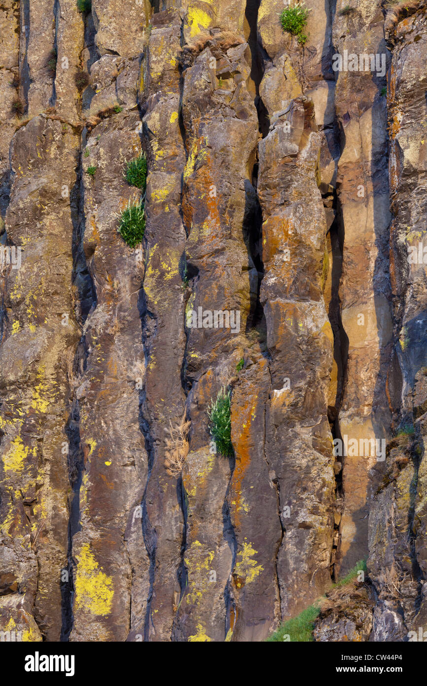 USA, Oregon, Columnar basalt Stock Photo - Alamy