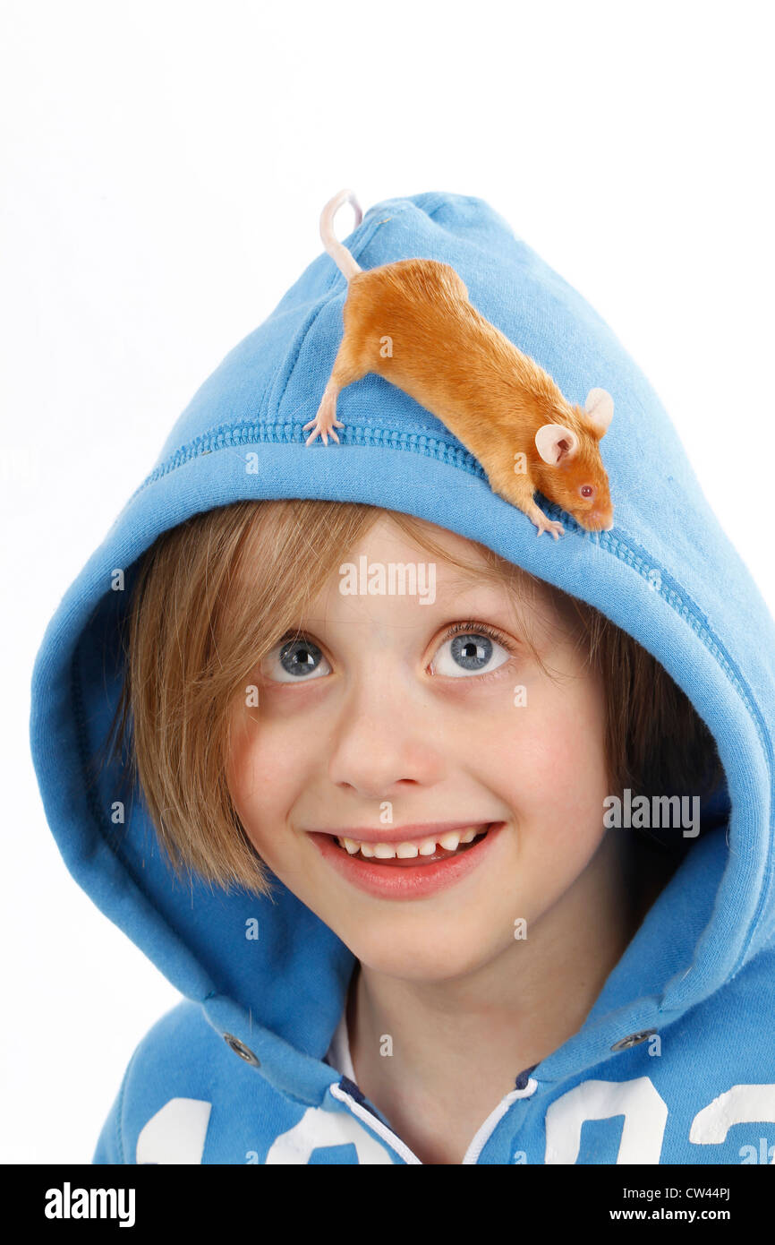 Boy pet mouse hi-res stock photography and images - Alamy