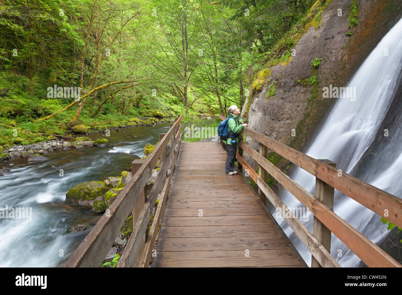 USA, Oregon, Columbia River Gorge, Tanner Creek, Woman standing on ...