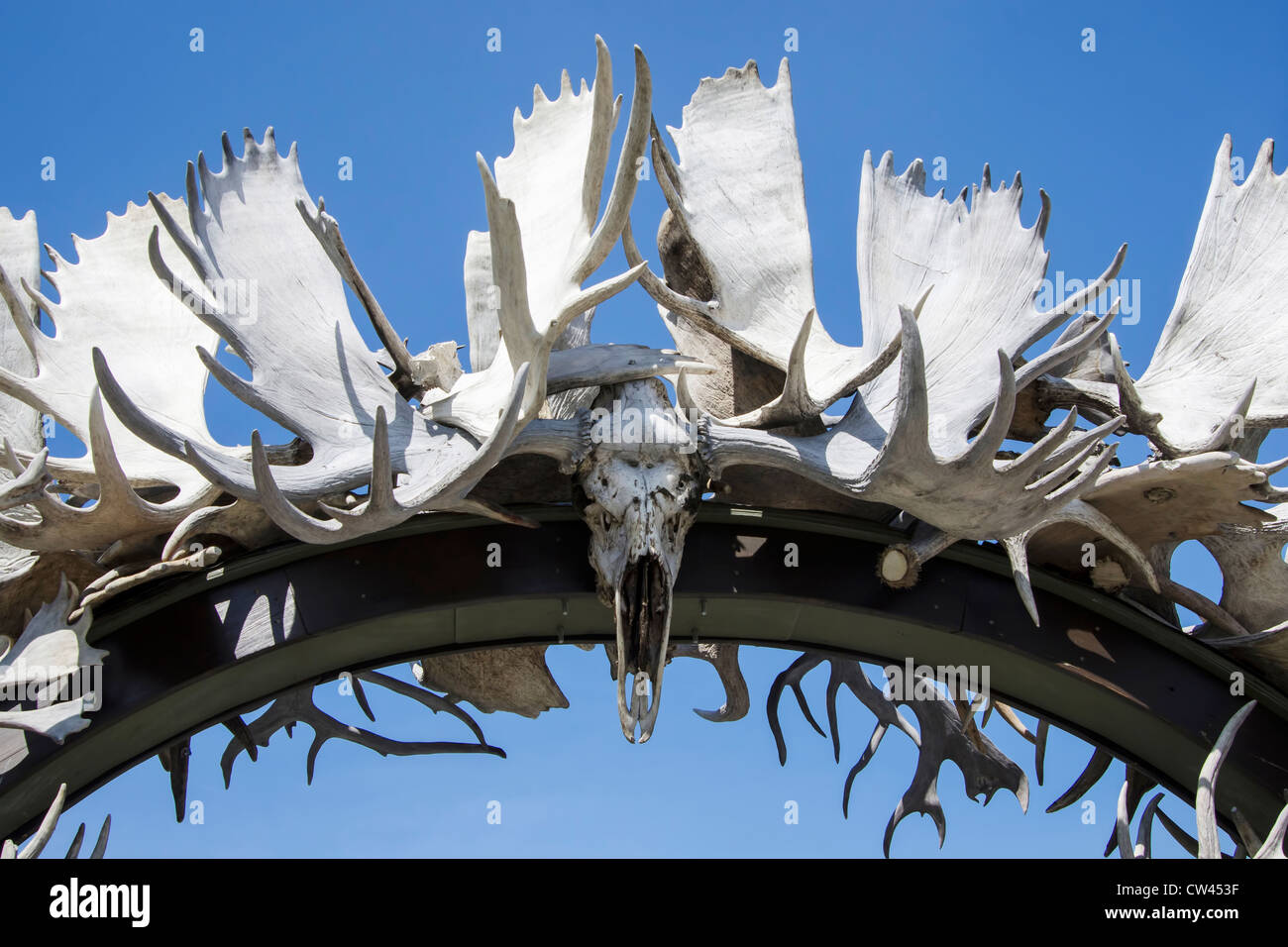 Antler arch hi-res stock photography and images - Alamy