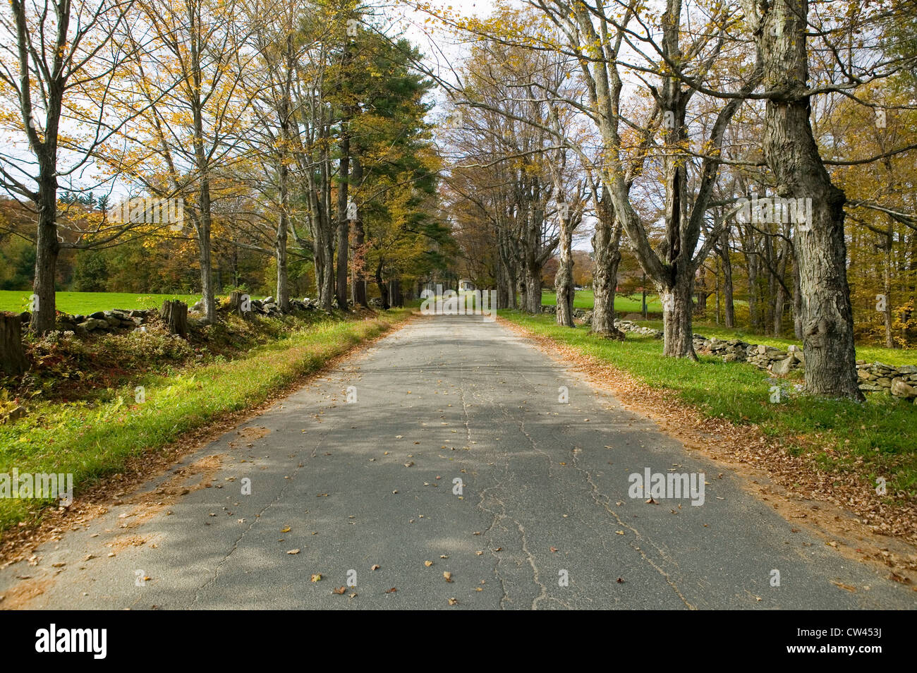 Backroads in autumn on trail hi-res stock photography and images - Alamy