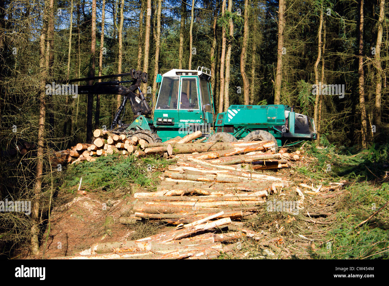 Mindork Forest Logging in Galloway Scotland Stock Photo - Alamy
