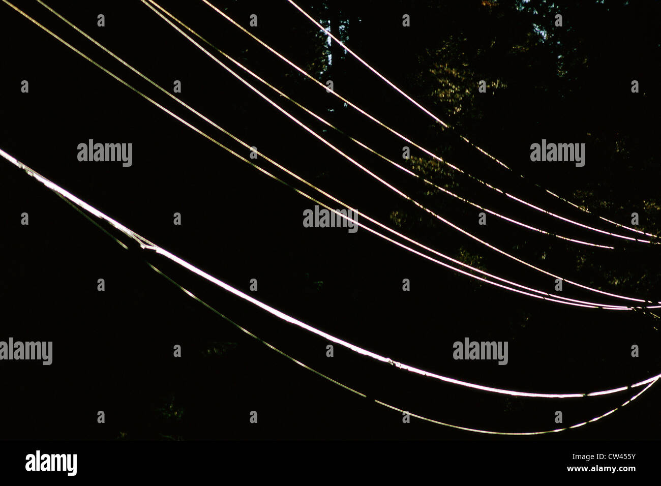 Lit telephone cables Stock Photo - Alamy