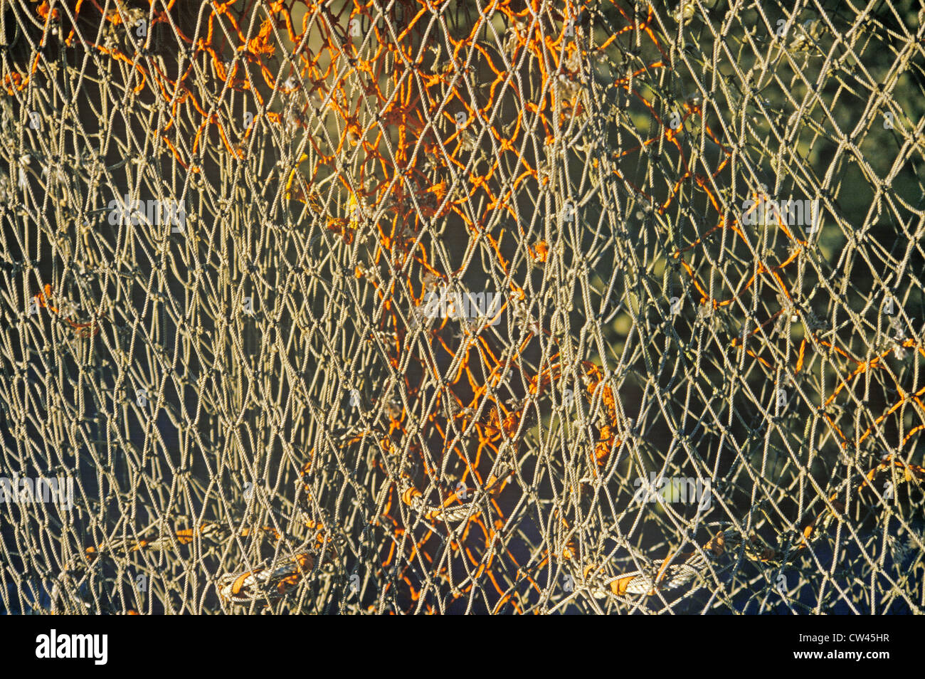 Muscongus bay hi-res stock photography and images - Alamy