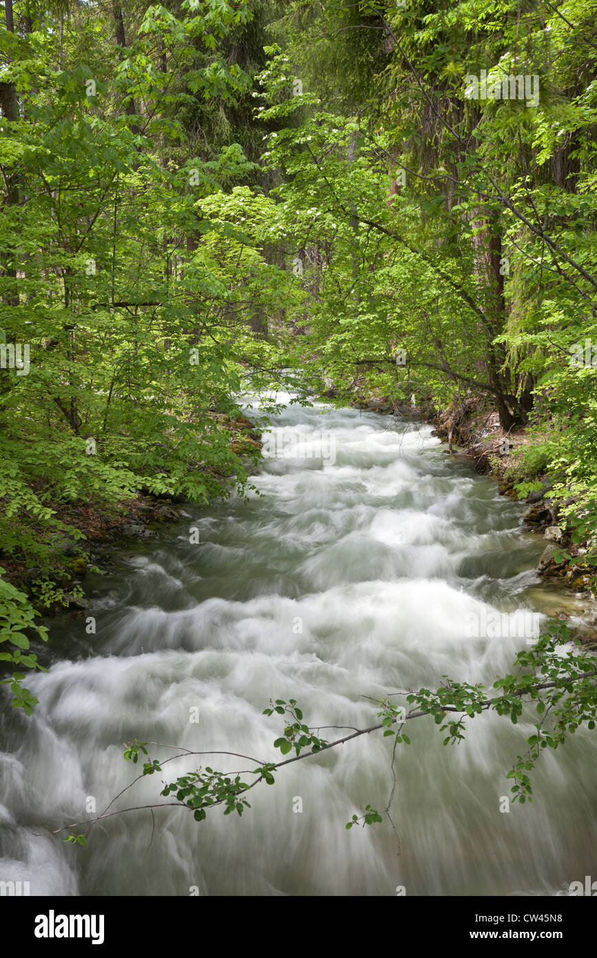 USA, Washington State, Stehekin, Rainbow Creek Stock Photo - Alamy