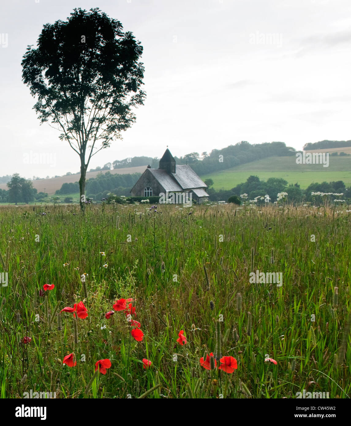 Church of St Hubert at Idsworth, Hampshire surrounded by fields with ...