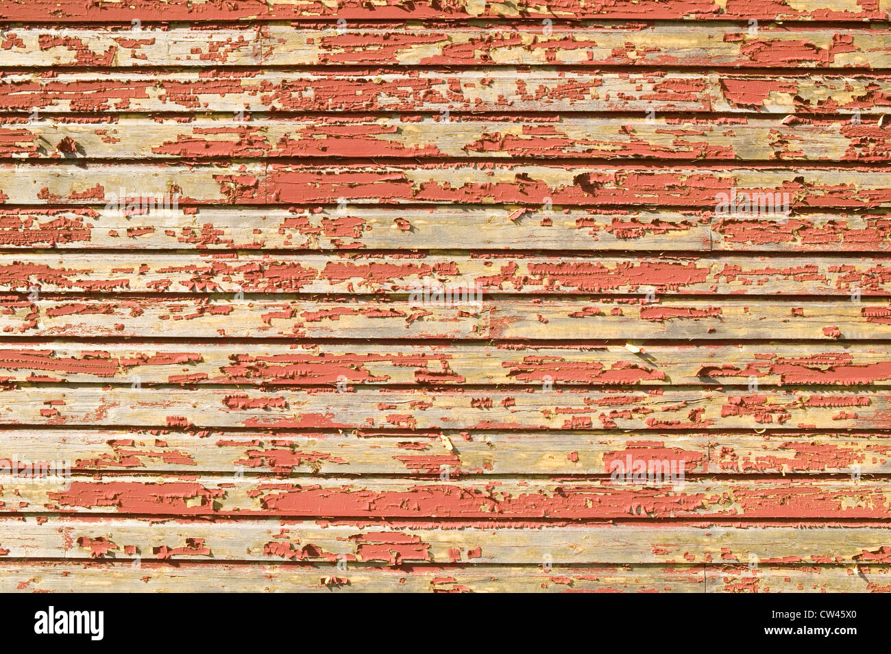 Distressed red barnwood siding in Acadia National Park, Maine Stock ...