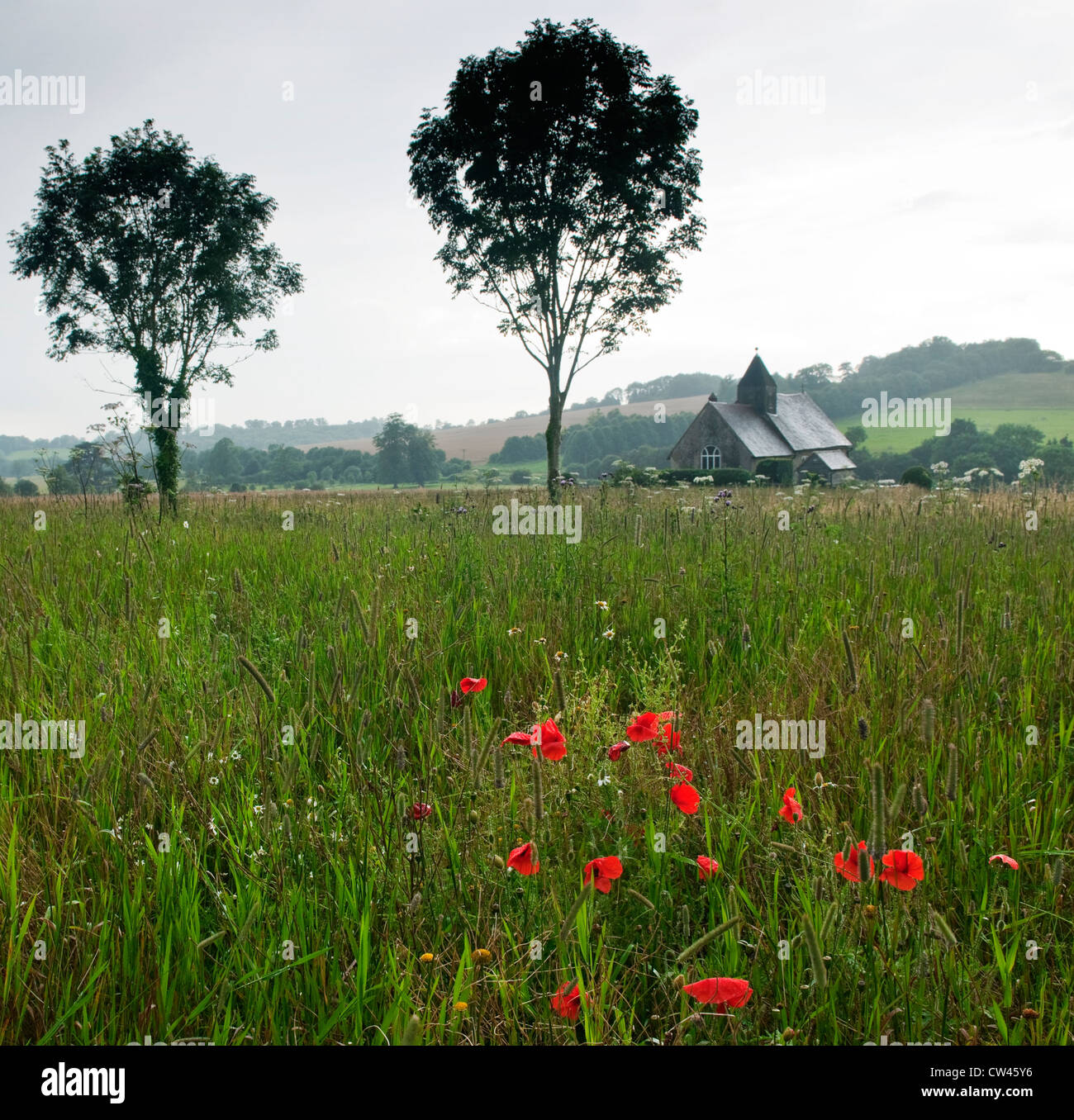 Church of St Hubert at Idsworth, Hampshire surrounded by fields with ...