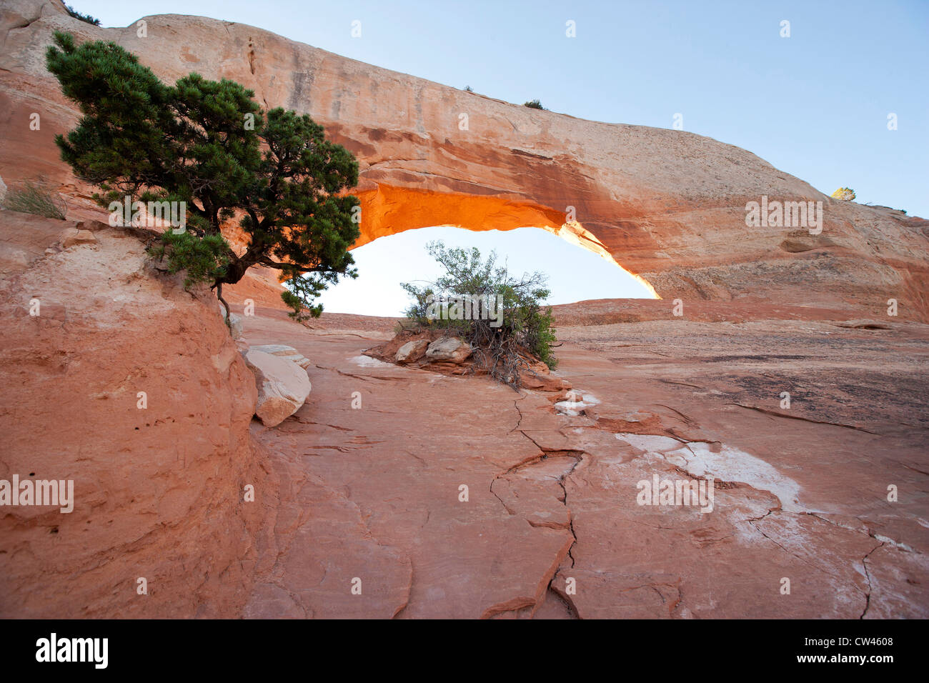 Wilson arch hi-res stock photography and images - Alamy