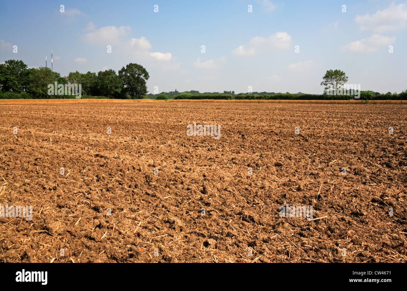 A view of a field harrowed after harvesting in South Norfolk, England ...