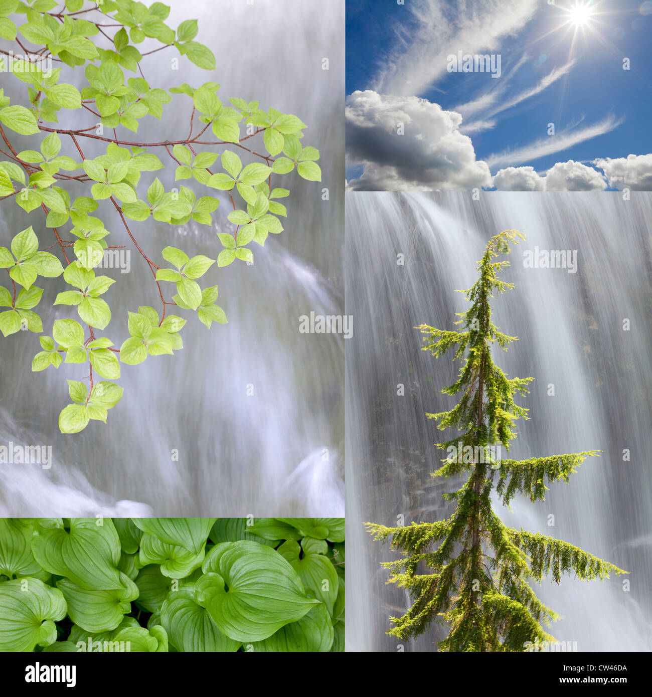 Collage of Water and Sky Images Stock Photo - Alamy