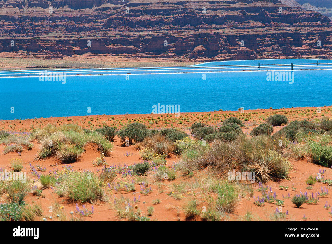 Holding pond at Canyonlands National Park, Moab, Utah Stock Photo - Alamy