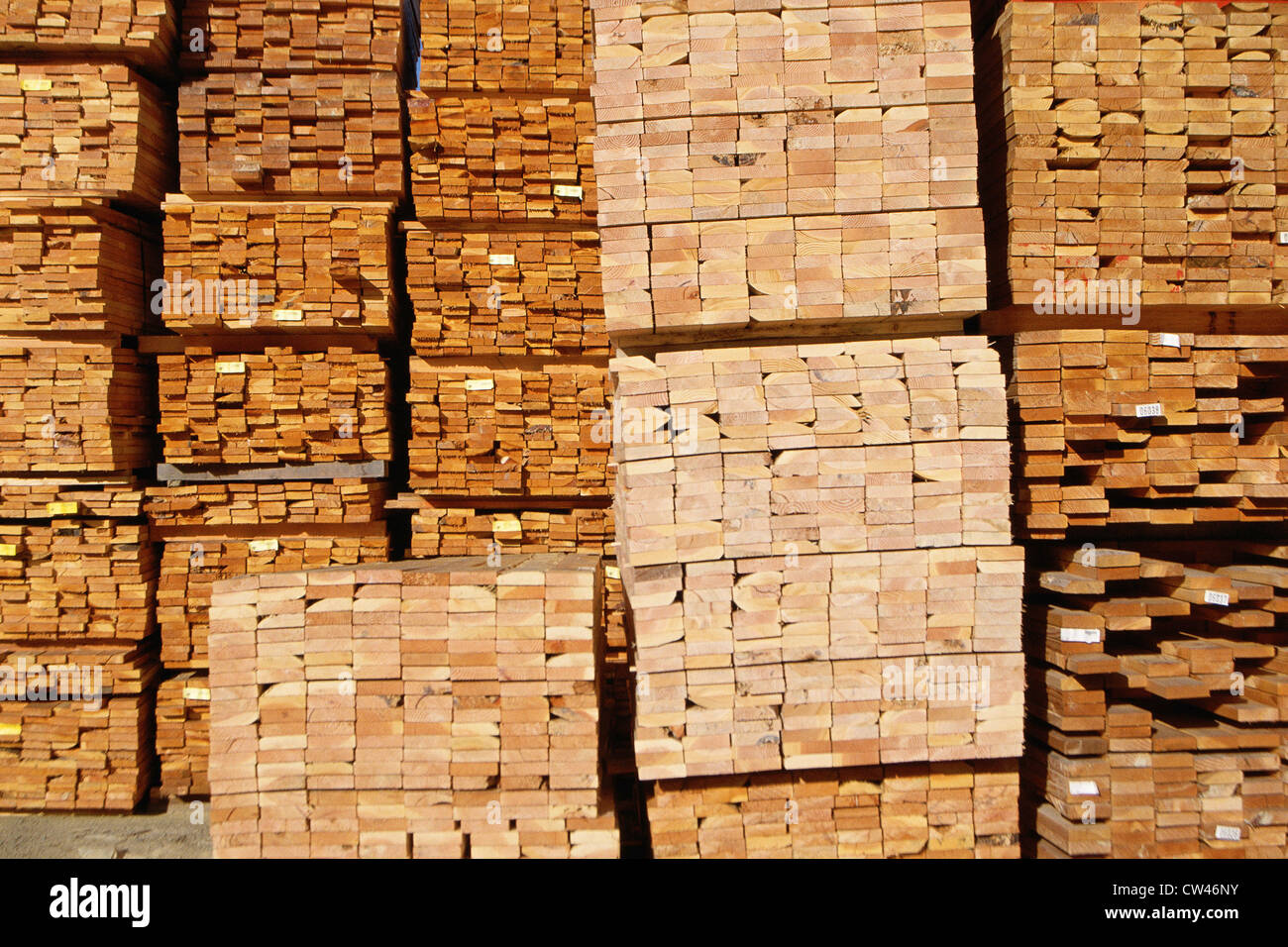 Ends of stacked lumber Stock Photo - Alamy