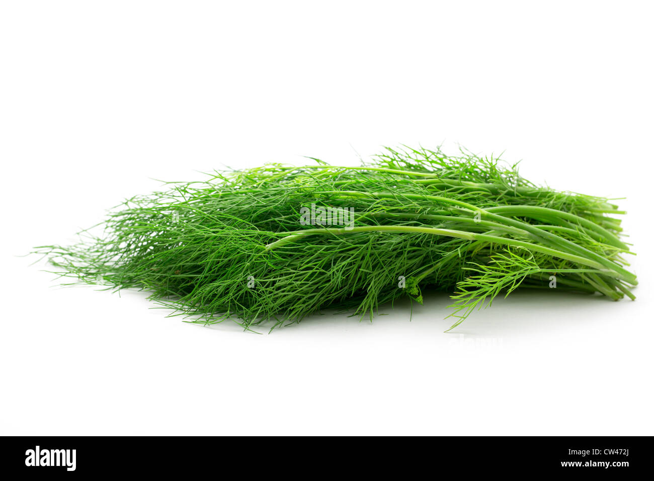 Dill plant food green Cut Out Stock Images & Pictures - Alamy